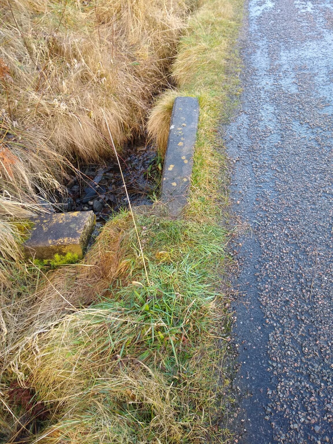 Otter signs and tracks - North Sutherland Wildlife Group