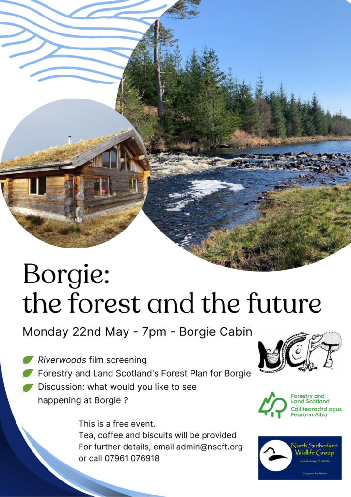 Borgie: the forest and the future - North Sutherland Wildlife Group